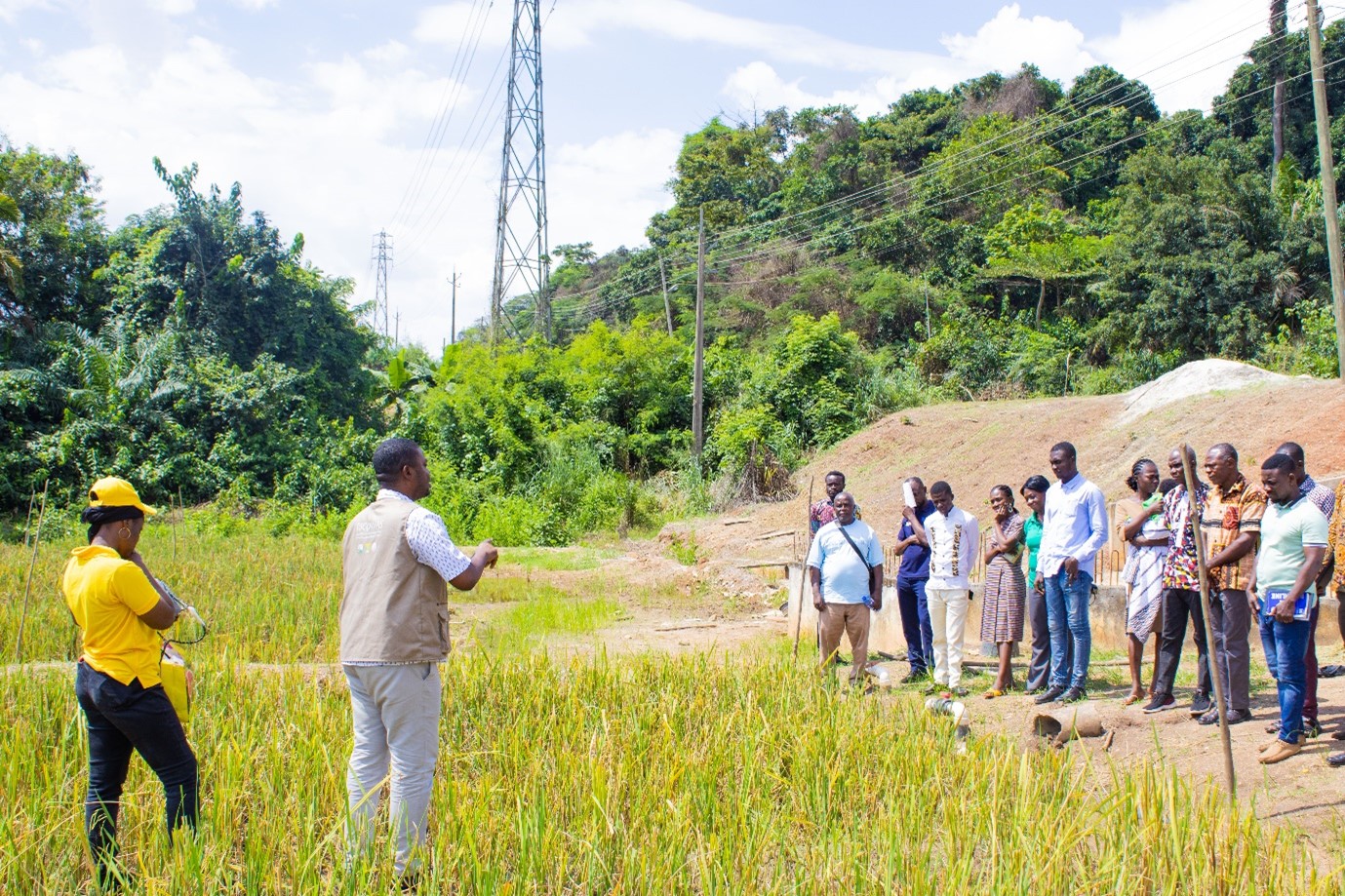 CSIR-CRI RICOWAS WORKSHOP EQUIPS STAKEHOLDERS WITH GOOD AGRICULTURAL ...