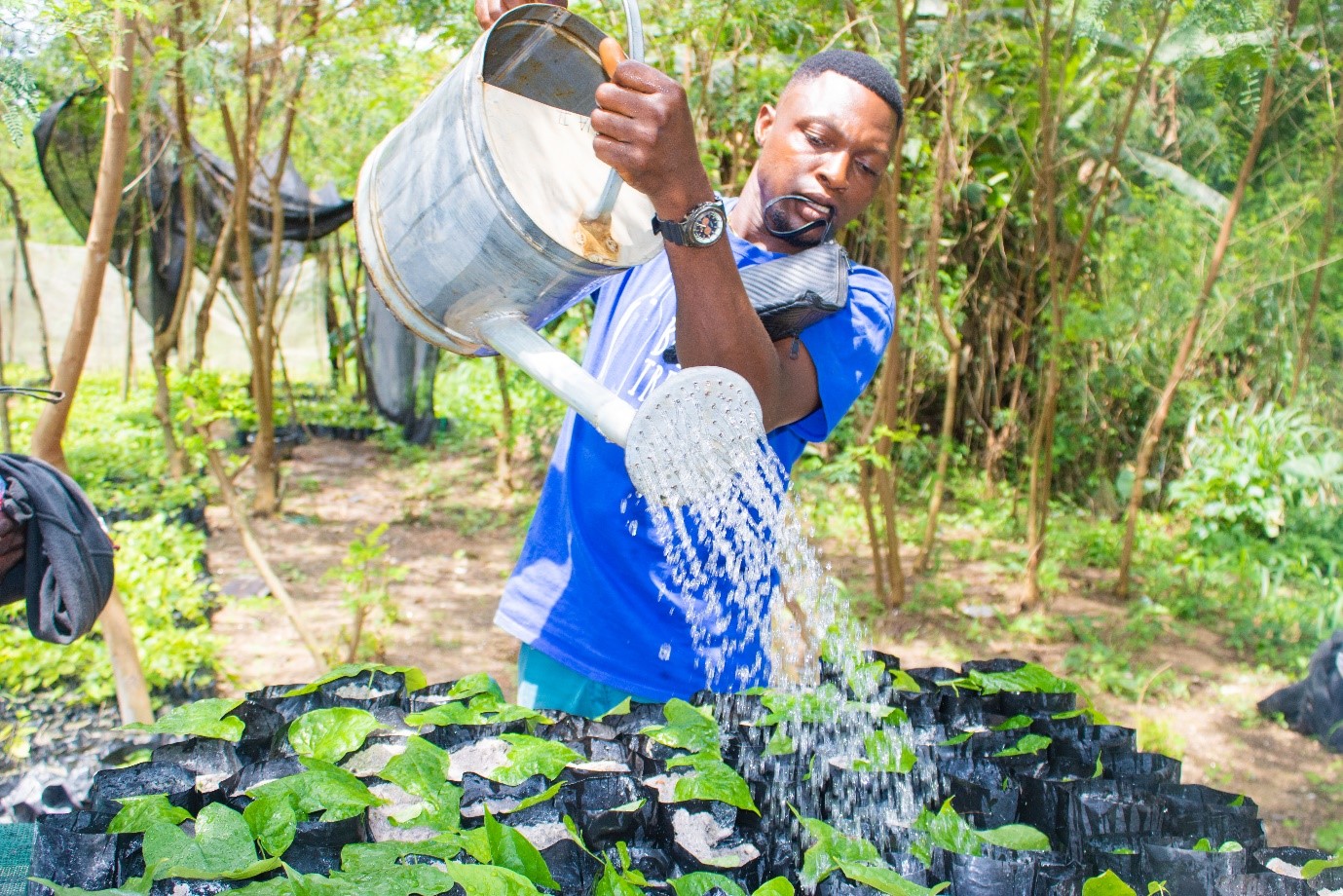 ENHANCING FOOD SECURITY: CSIR- CROPS RESEARCH INSTITUTE TRAINS YAM VINE ...