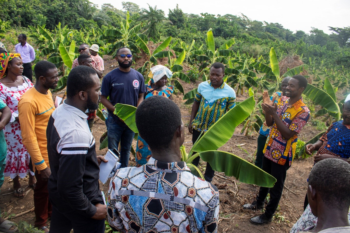 Towards Mechanizing Plantain Farming in Ghana: CSIR-CRI Introduces ...