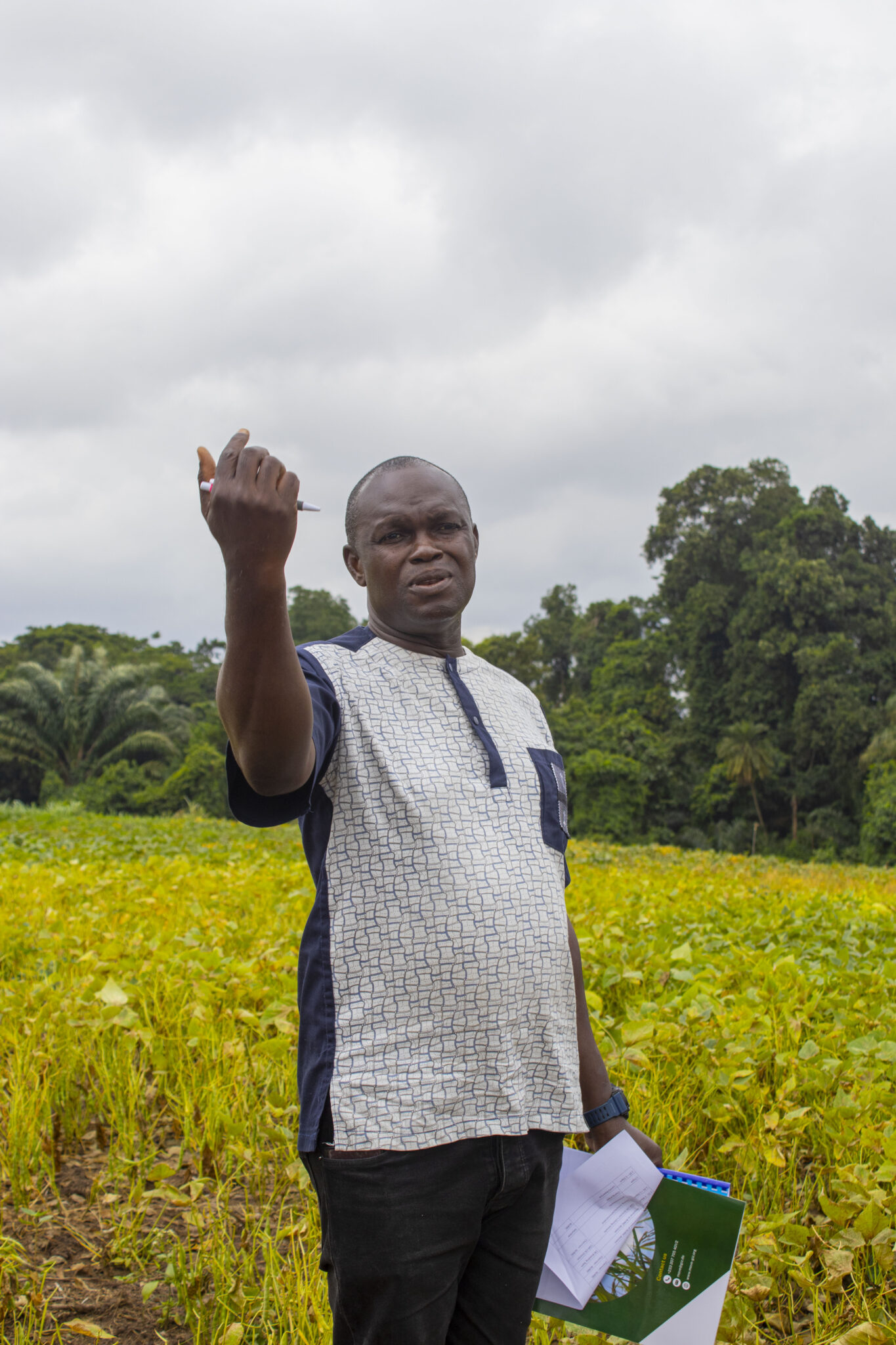 CSIR - Crops Research Institute Releases Drought-Tolerant and Nutrient ...
