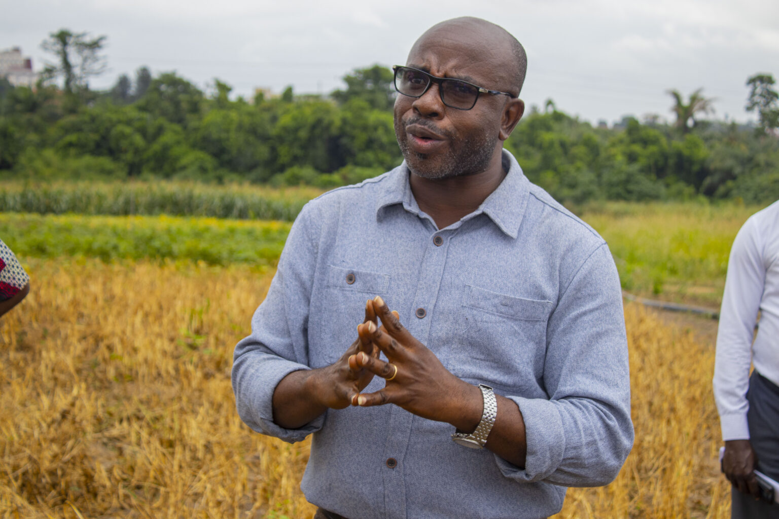 CSIR - Crops Research Institute Releases Drought-Tolerant and Nutrient ...