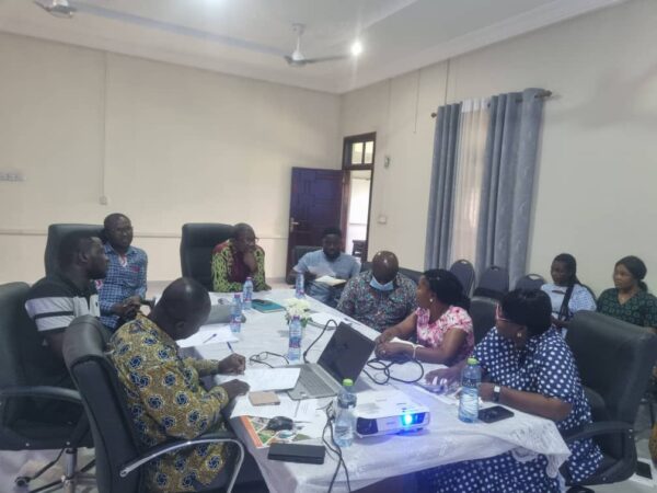 Growing Resilience: The KAFACI Tomato Project Revolutionizing Ghana's ...