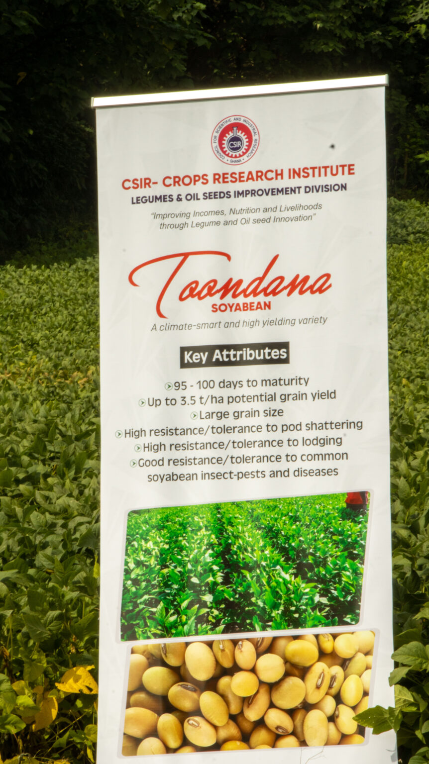 CSIR-CRI Holds Soybean Seed Field Day to Strengthen Ghana’s Food Systems