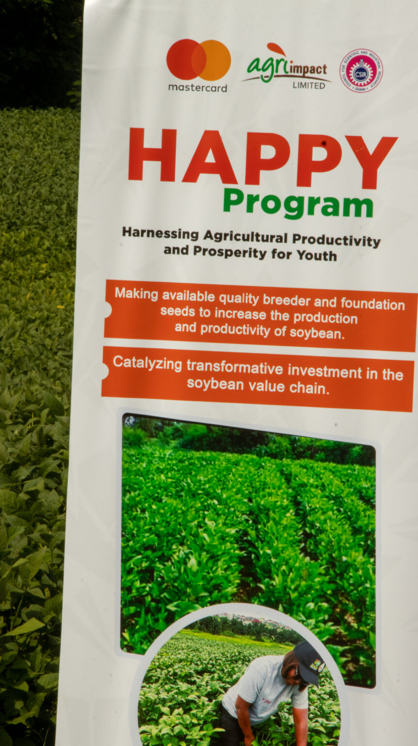 CSIR-CRI Holds Soybean Seed Field Day to Strengthen Ghana’s Food Systems